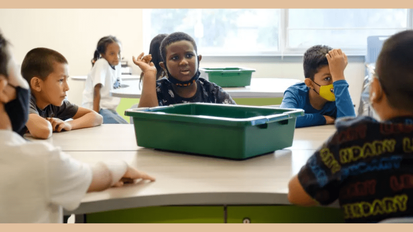 New school year, no mask rules for most of U.S. | Pineapple Report